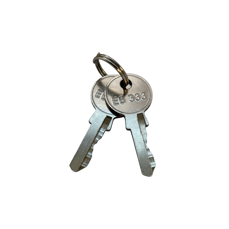 English type key RZ K1333KA, single key insert, set of 2 keys buy ...