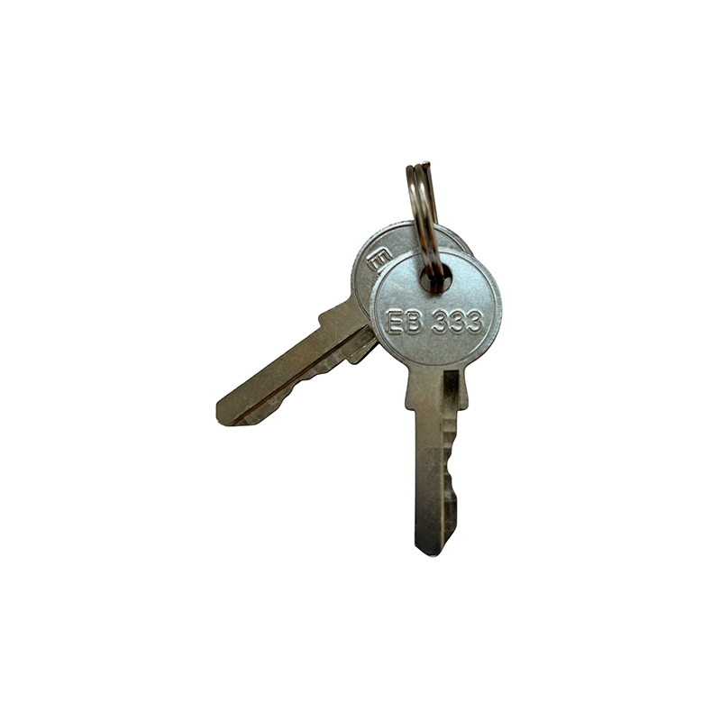 English type key RZ K1333KA, single key insert, set of 2 keys buy ...